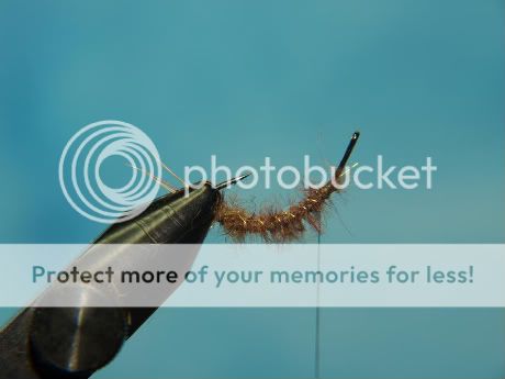 The Tarcher Nymph (SbS) | Fly Fishing Forum