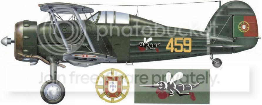gladiator alt. paint schemes - Aircraft - Finescale Modeler Forum