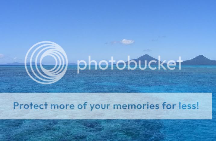 Mahogany for strip timber? - The WoodenBoat Forum