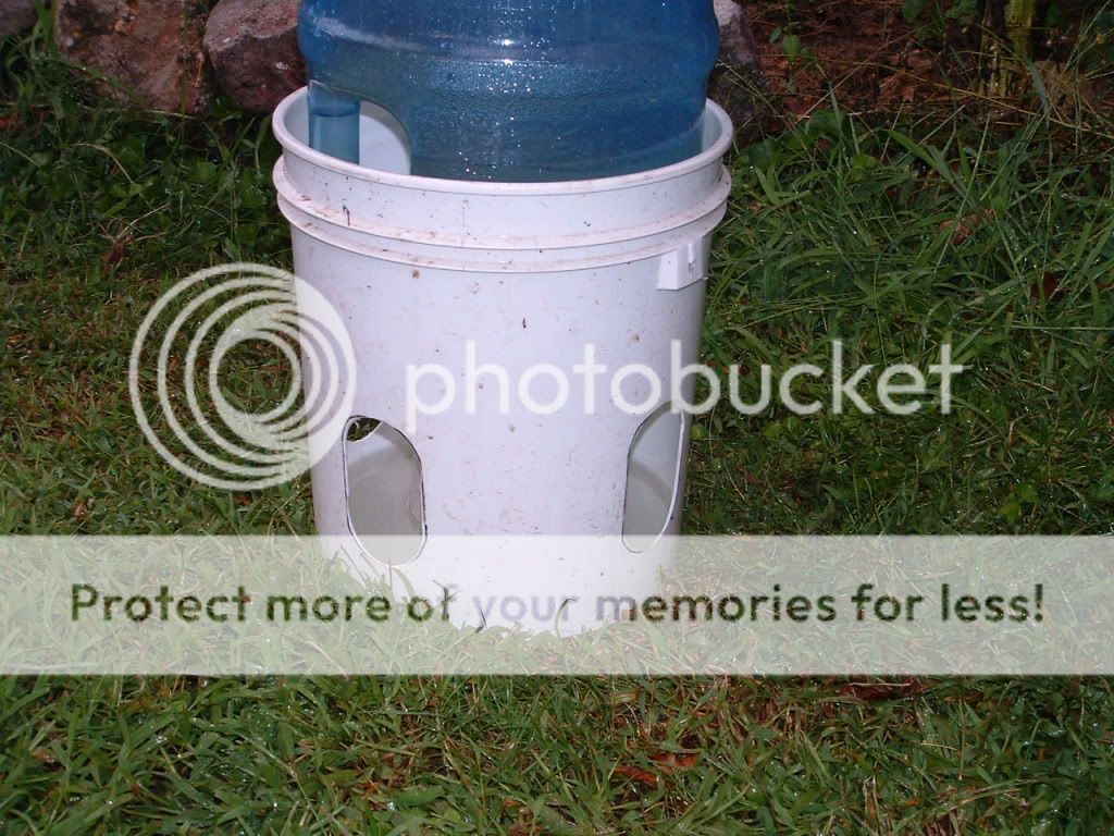 Homemade waterer | Backyard Ducks | Duck waterer, Chicken waterer ...