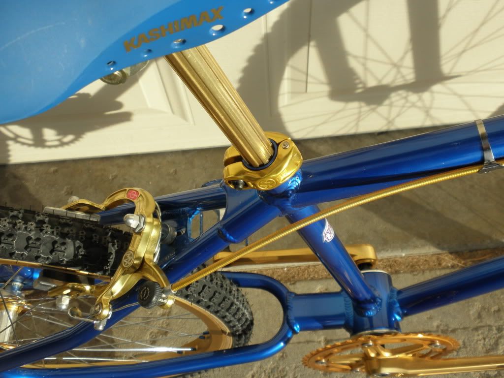 Let's see those BLUE bike builds! - BMXmuseum.com Forums