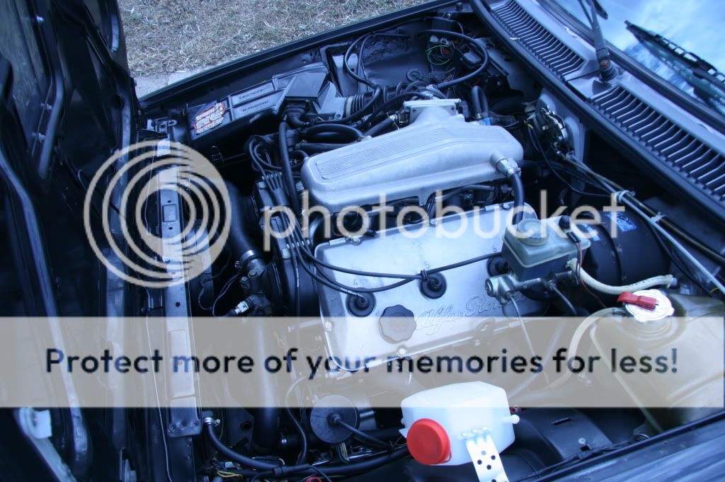 For Sale - 1984 GTV6 for sale, CO | Alfa Romeo Forums